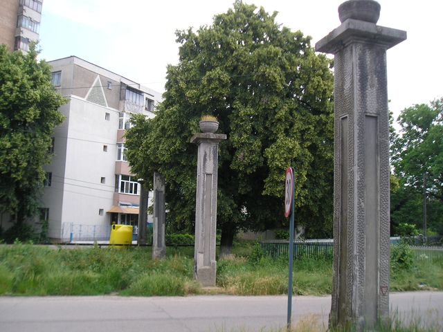 Letea, un parc disparut - Ziarul de Garda/online din Bacau | Ziarul de ...