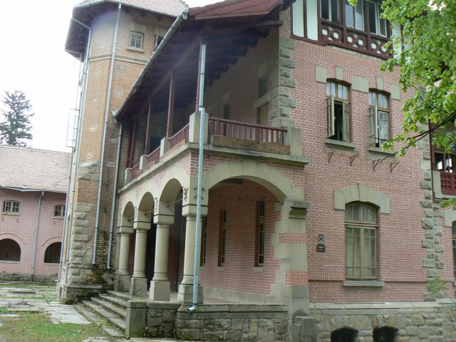 Palatul si Parcul Stirbey din Darmanesti au fost cumparate de Itshak ...